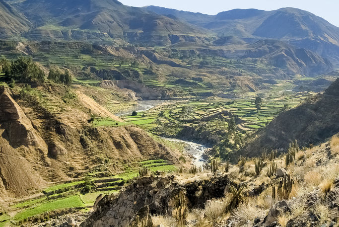 Peru i Inkarikets spor - Jambo Tours