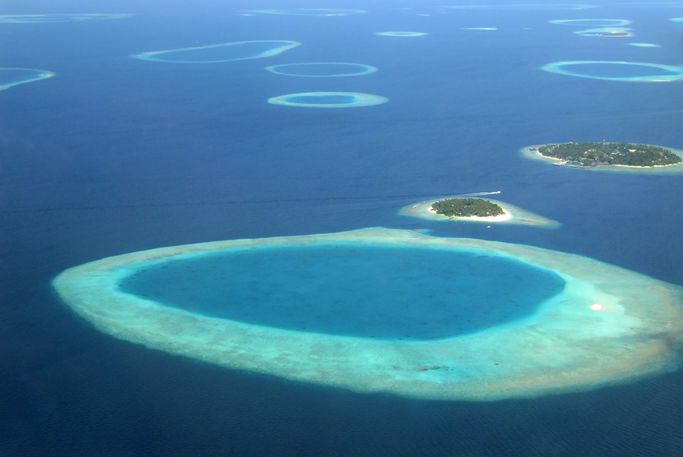 Rundreise på Sri Lanka med sol og bad på Maldivene - Jambo Tours