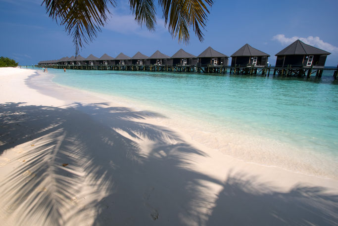 Rundreise på Sri Lanka med sol og bad på Maldivene - Jambo Tours