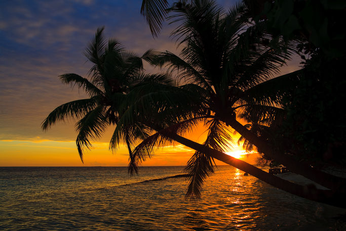 Rundreise på Sri Lanka med sol og bad på Maldivene - Jambo Tours