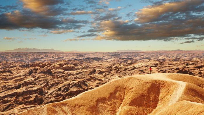 Namibias ørken & ville dyr. - Jambo Tours